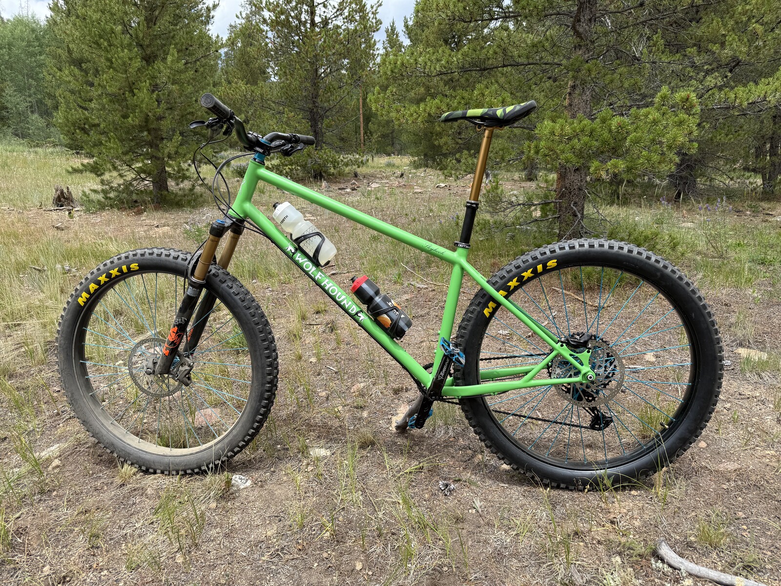 Wolfhound Cycles Custom Skyhook - Vital Bike of the Day September 2025 - Mountain Biking ...